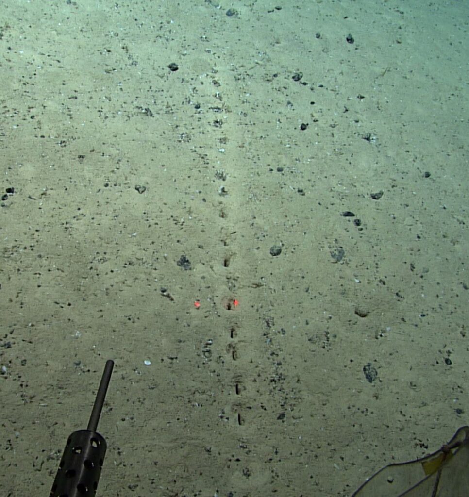 El secreto de los agujeros "perfectamente alineados" en el lecho marino ...